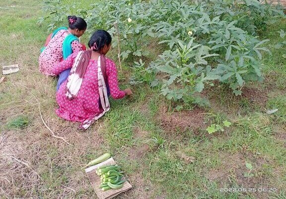 Shreeja Stories - Shreeja India